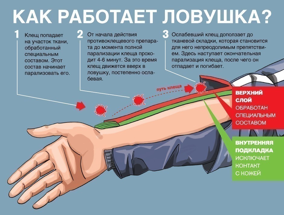 Противоэнцефалитная одежда